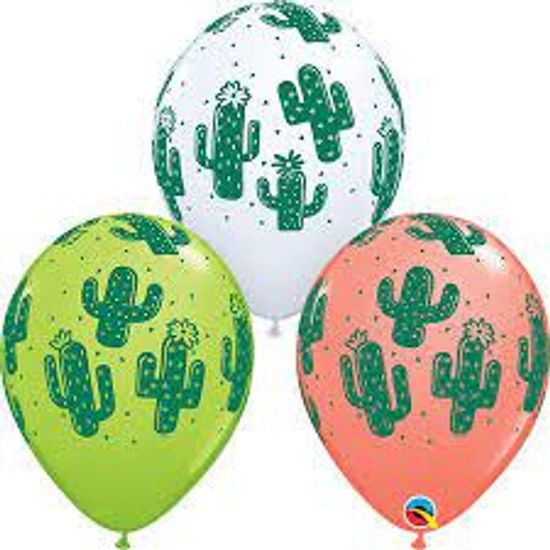 Direto Da 25 - Redondo Sortido Especial - Cactos - Natal da 25 Direto Da 25 - Redondo Sortido Especial - Cactos - Natal da 25